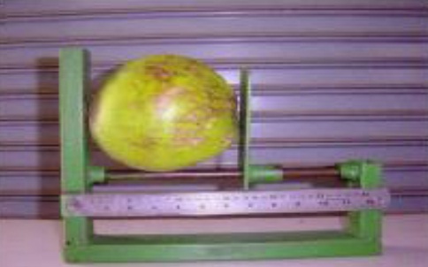 Development of Multipurpose Coconut Cutting Machine | Mechanical ...